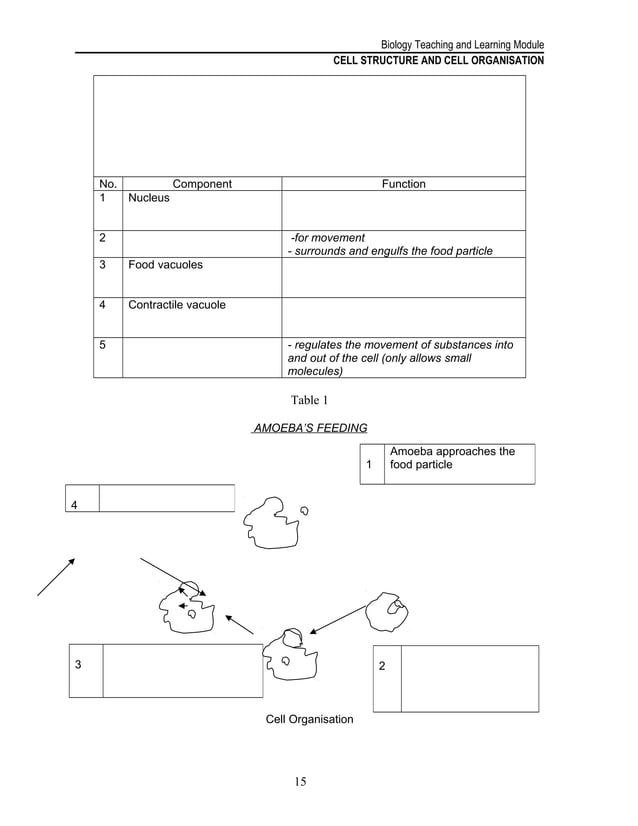 Chapter 2 (student) | PDF