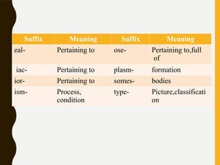 CHAPTER 2 Suffixes terminology education | PDF