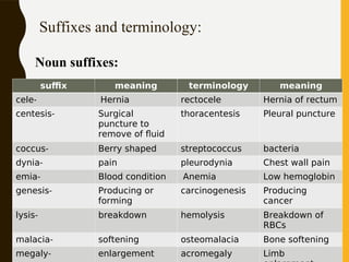 CHAPTER 2 Suffixes terminology education | PDF