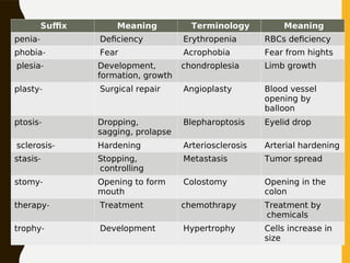 CHAPTER 2 Suffixes terminology education | PPT