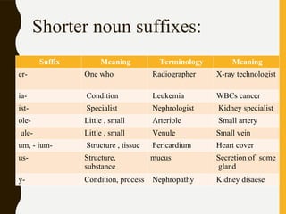 CHAPTER 2 Suffixes terminology education | PDF