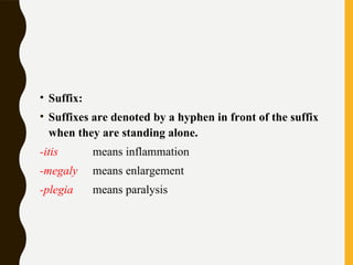 CHAPTER 2 Suffixes terminology education | PDF