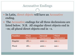 Chapter 2 the accusative case | PPTX