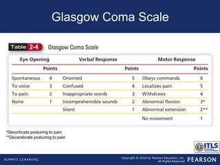 Chapter2 trauma assessment and management | PPT