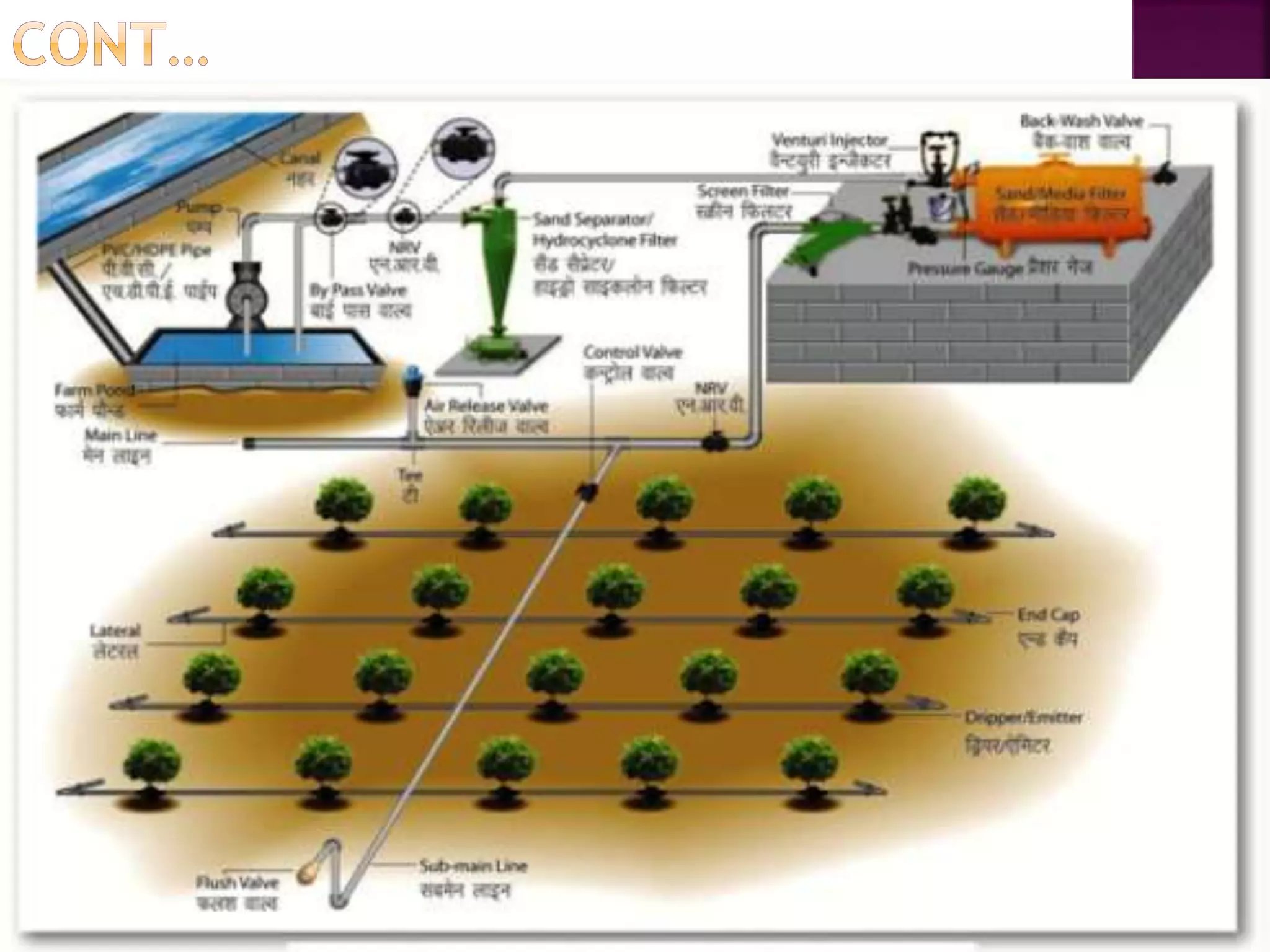 Chapter 2 trickle irrigation | PPTX