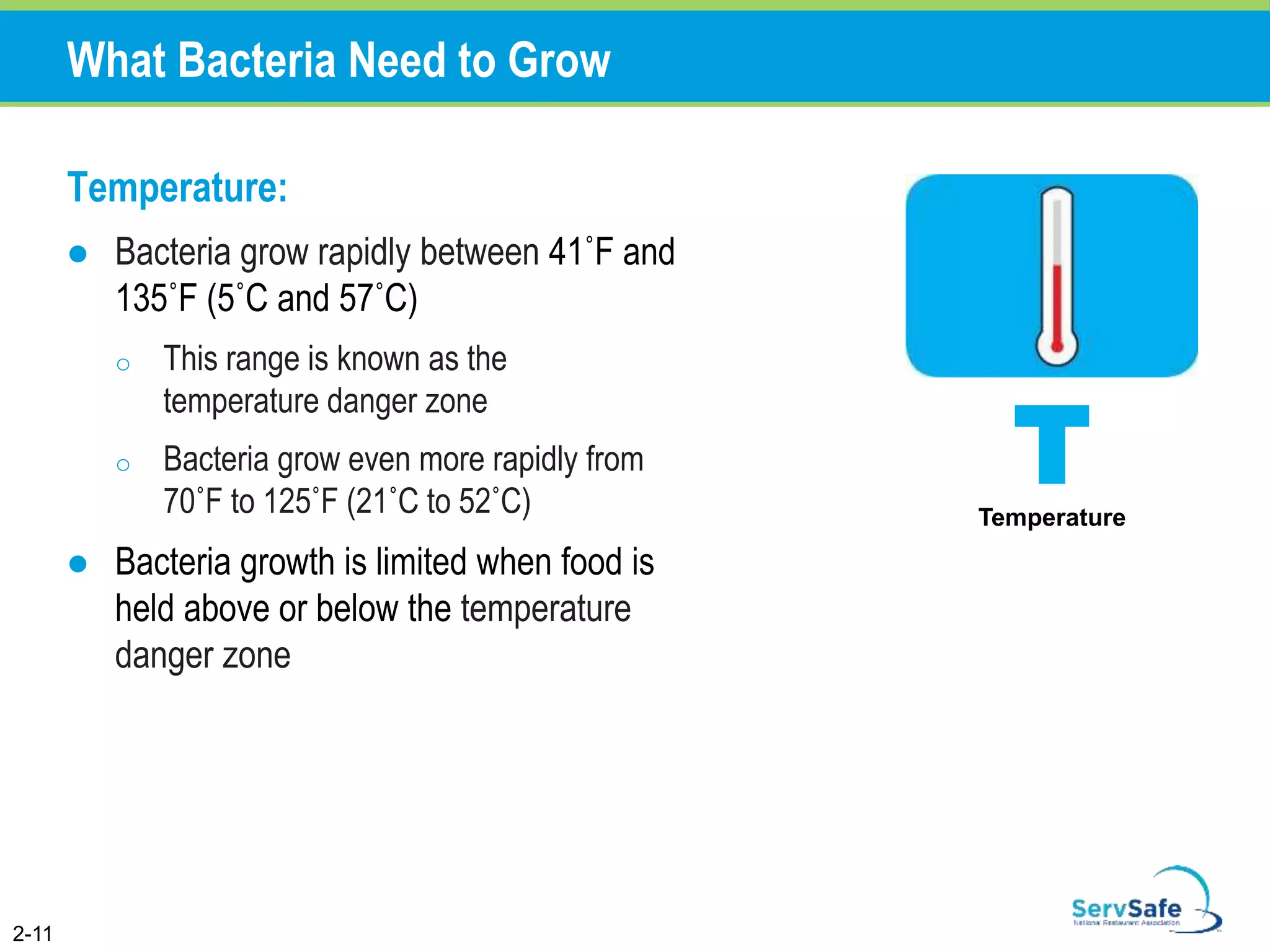 Chapter 2 Understanding the Microworld | PPTX