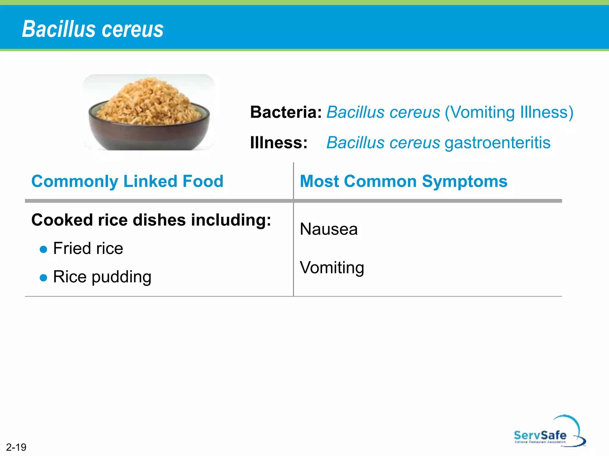 Chapter 2 Understanding the Microworld | PPTX