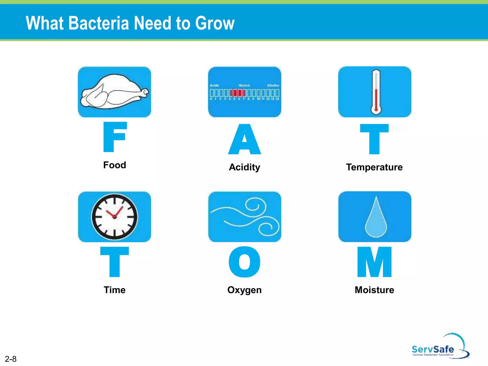 Chapter 2 Understanding the Microworld | PPTX