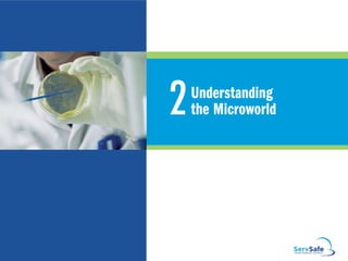 Chapter 2 Understanding the Microworld | PPTX