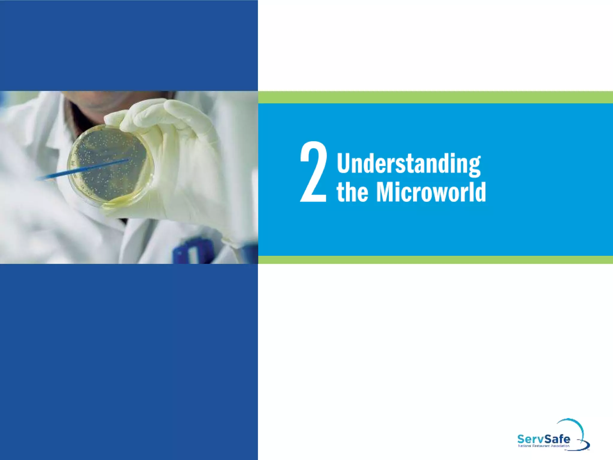 chapter2 understanding the microworld.pdf