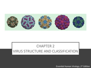 Chapter 2 viral structure and classification.pptx