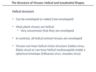 Chapter 2 viral structure and classification.pptx