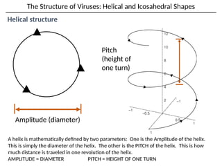 Chapter 2 viral structure and classification.pptx