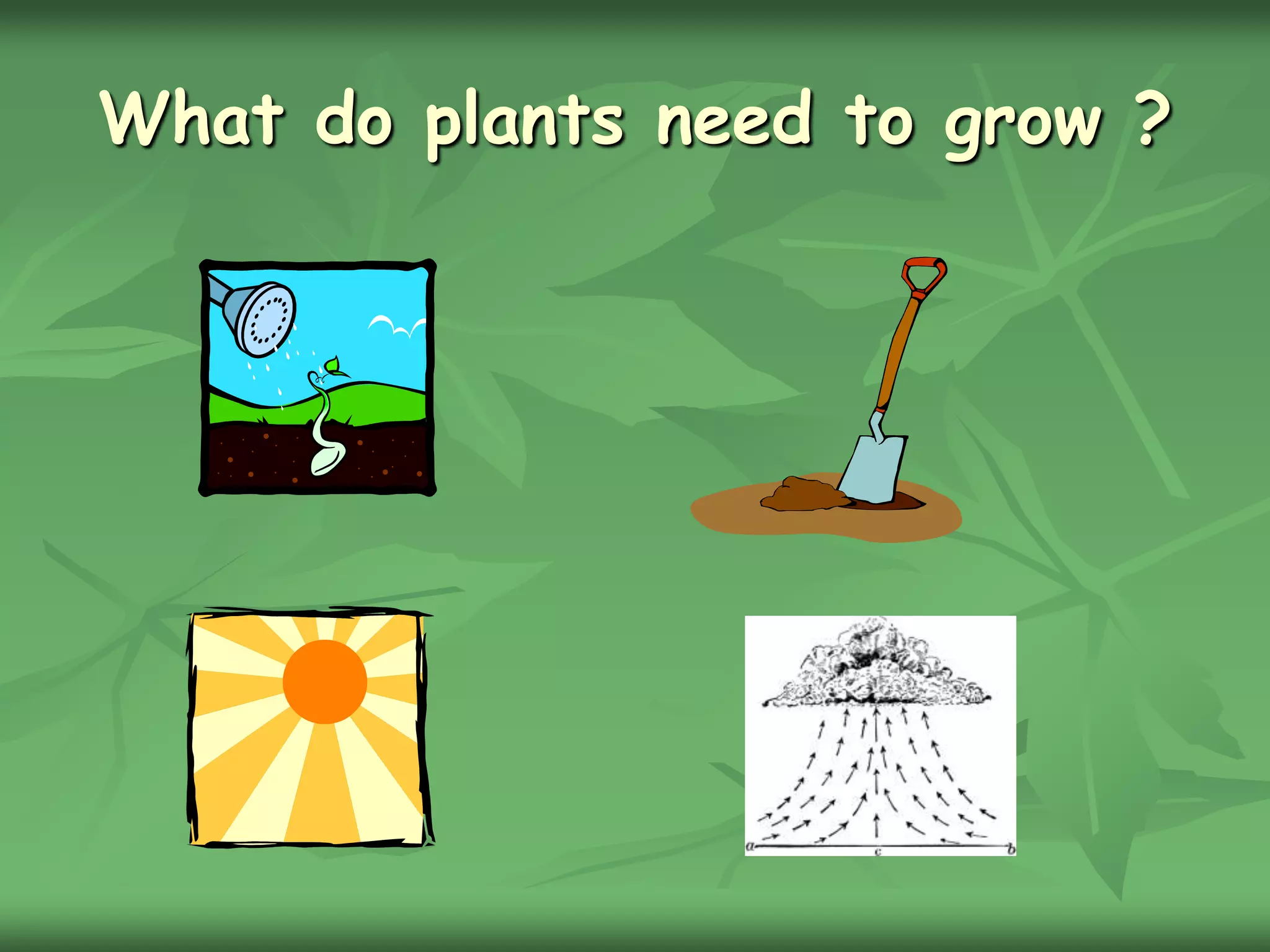 Chapter 2 what do plants need to grow | PPTX