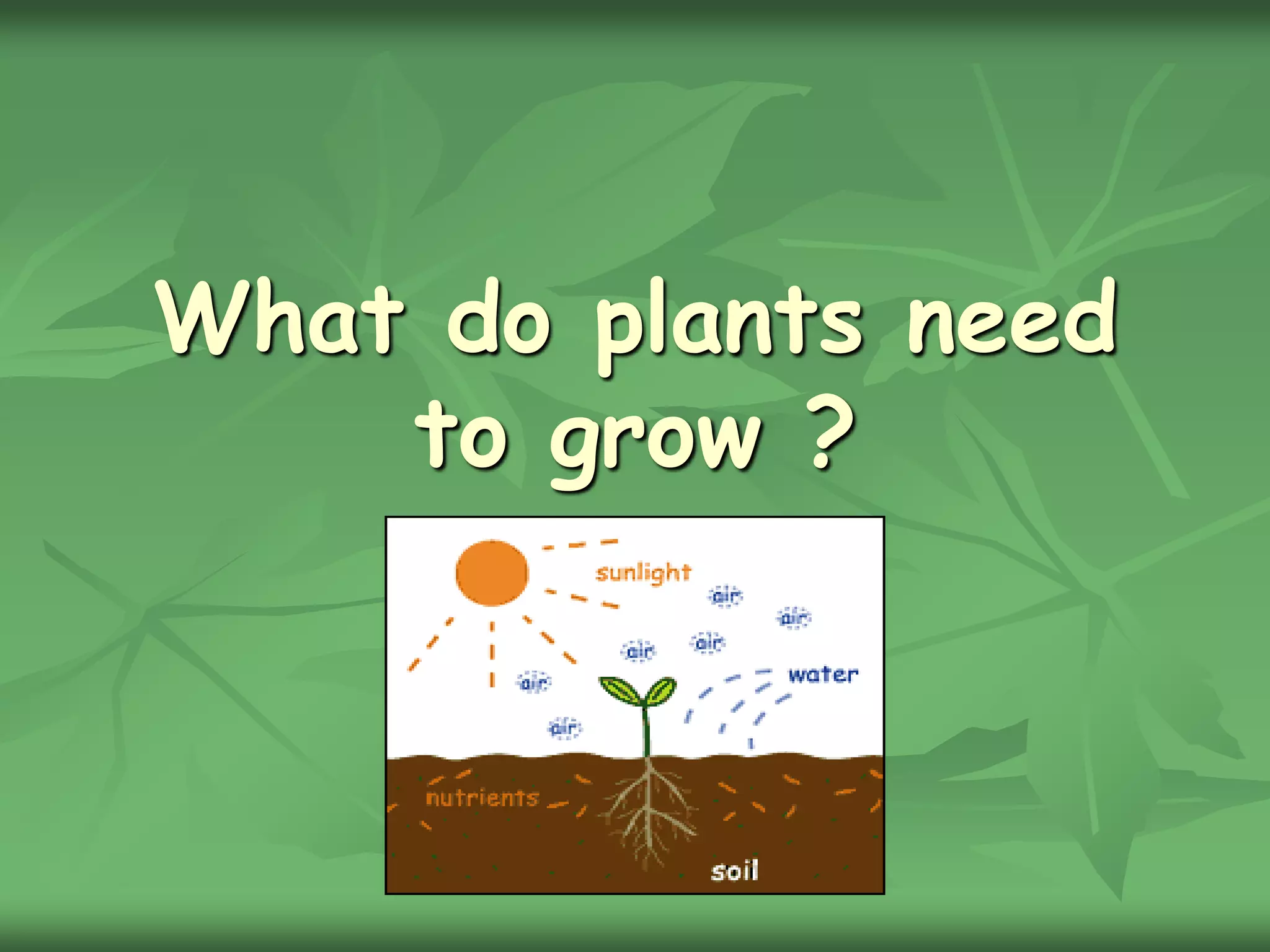 Chapter 2 what do plants need to grow | PPTX