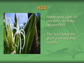 Chapter 2 what do plants need to grow | PPTX