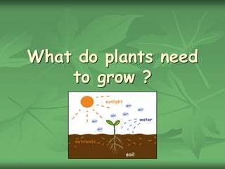 Chapter 2 what do plants need to grow | PPTX