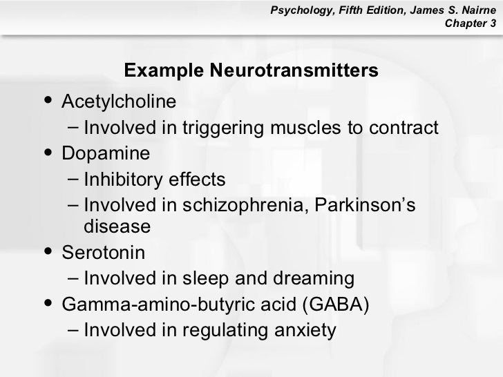 Psychology 101: Chapter3