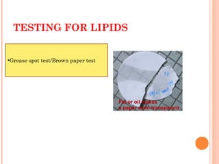 Chapter 3 Biological Molecules | PPT | Chemistry | Science