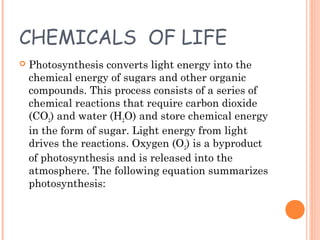 Chapter 3 Biological Molecules | PPT | Chemistry | Science