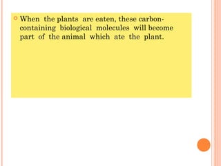 Chapter 3 Biological Molecules | PPT