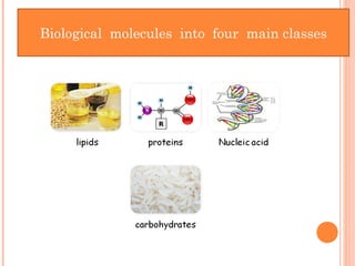 Chapter 3 Biological Molecules | PPT | Chemistry | Science