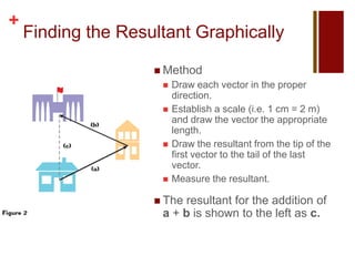 Two Dimensional Motion and Vectors | PPTX