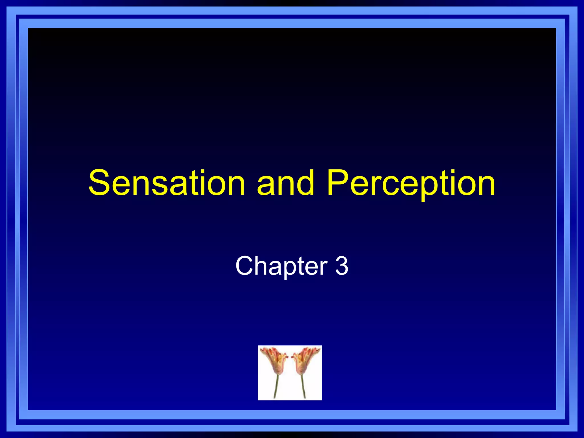 Sensation & Perception | PPT