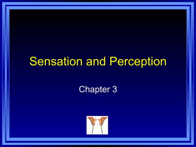 Sensation & Perception | PPT