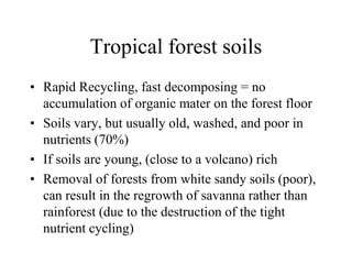 Tropical Rainforest Productivity and Nutrient Cycling | PPTX