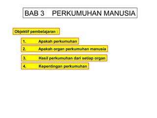 Chapter 3.1 human excretion revised 2010 | PPT