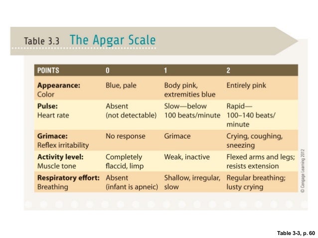 Chapter3 PP HDEV MJC