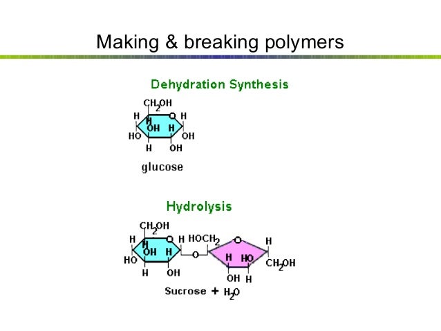 Carbohydrate Polymers