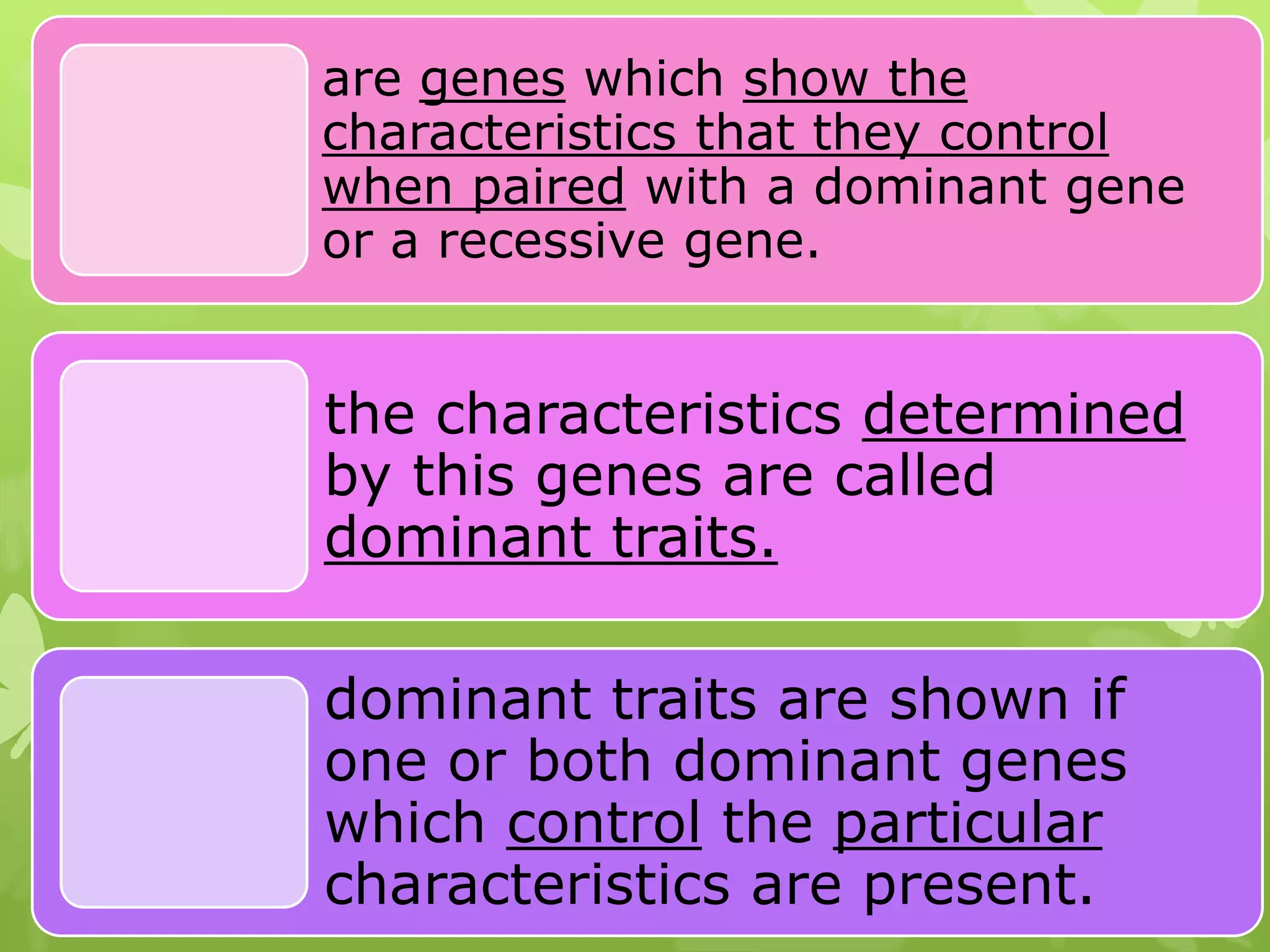 Chapter 3: HEREDITY AND VARIATIONS | PPTX