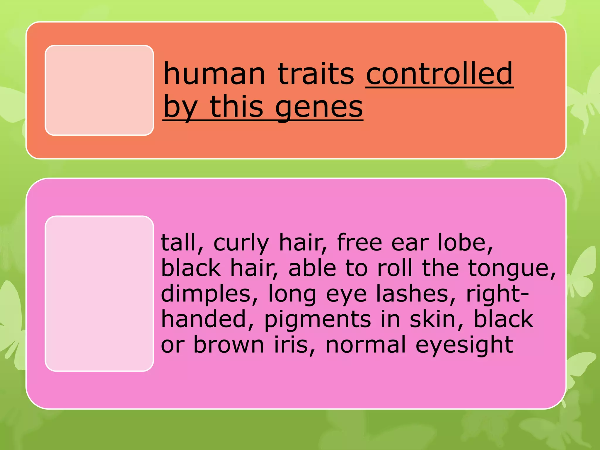 Chapter 3: HEREDITY AND VARIATIONS | PPTX