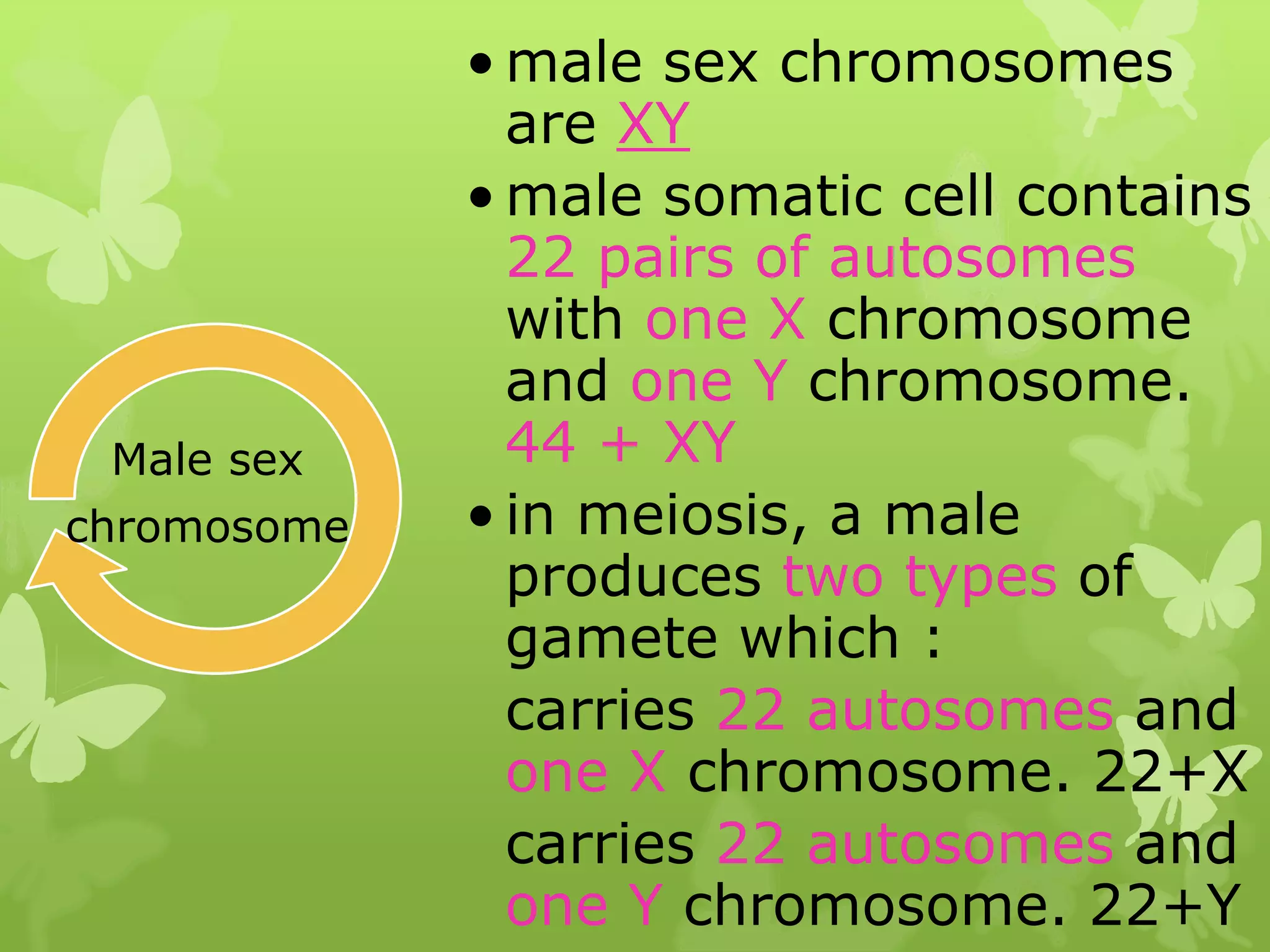 Chapter 3: HEREDITY AND VARIATIONS | PPTX