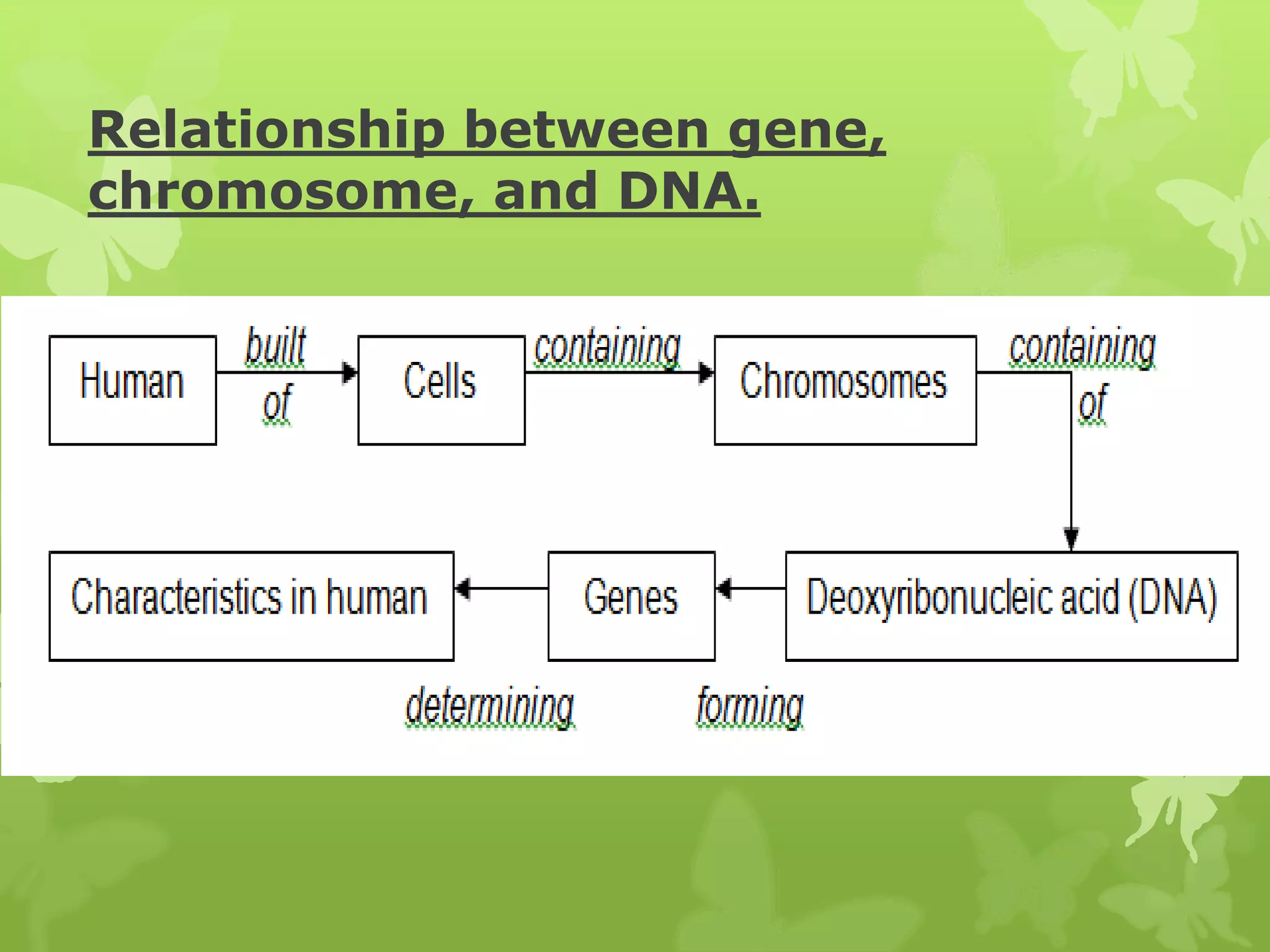 Chapter 3: HEREDITY AND VARIATIONS | PPTX