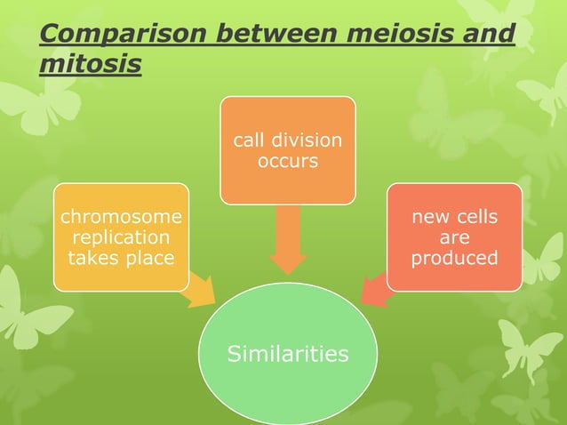 Chapter 3: HEREDITY AND VARIATIONS | PPTX | Genetics | Science