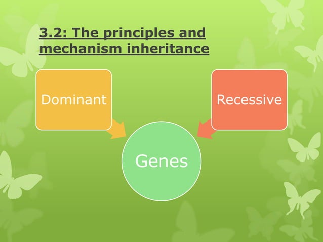 Chapter 3: HEREDITY AND VARIATIONS | PPTX | Genetics | Science