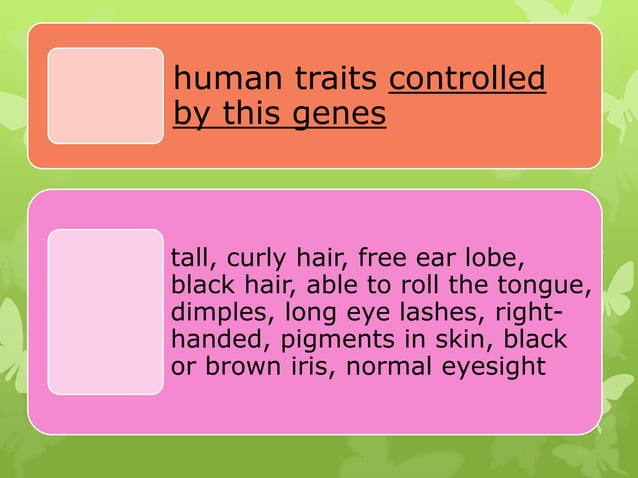 Chapter 3: HEREDITY AND VARIATIONS | PPTX | Genetics | Science