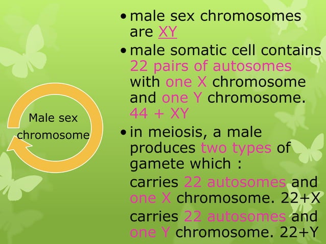 Chapter 3: HEREDITY AND VARIATIONS | PPTX | Genetics | Science