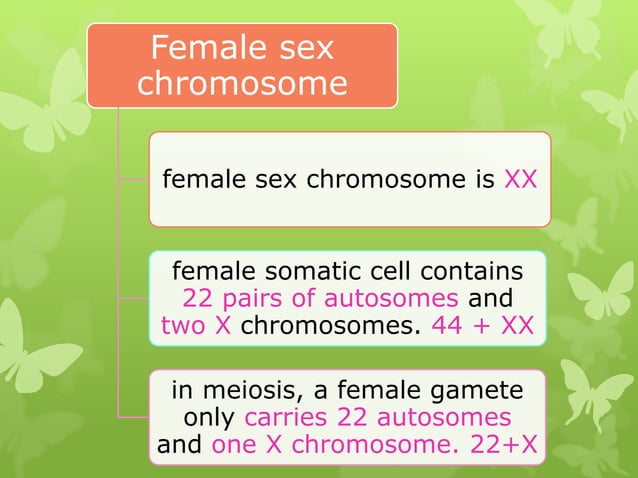 Chapter 3: HEREDITY AND VARIATIONS | PPTX | Genetics | Science