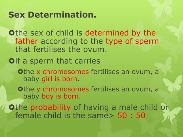 Chapter 3: HEREDITY AND VARIATIONS | PPTX | Genetics | Science