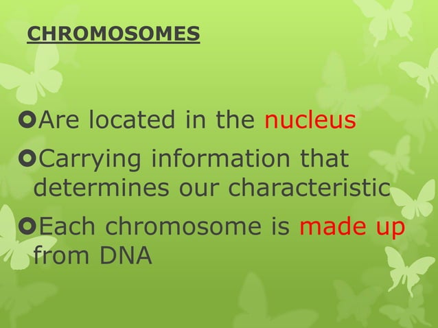 Chapter 3: HEREDITY AND VARIATIONS | PPTX | Genetics | Science