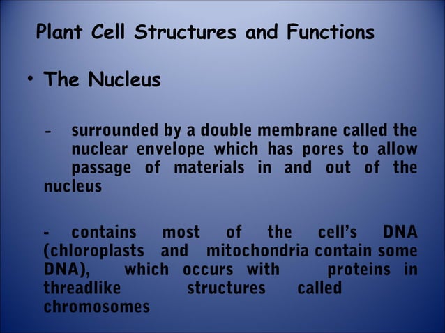 Chapter 3.cell structures and fuctions | PPT