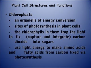 Chapter 3.cell structures and fuctions | PPT