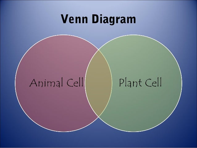 Cell Structure And Function Venn Diagram Plant Cell Diagram