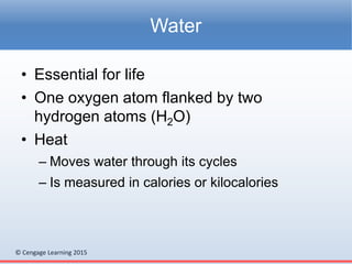 Chapter 3 Chemistry of Food Composition | PPTX