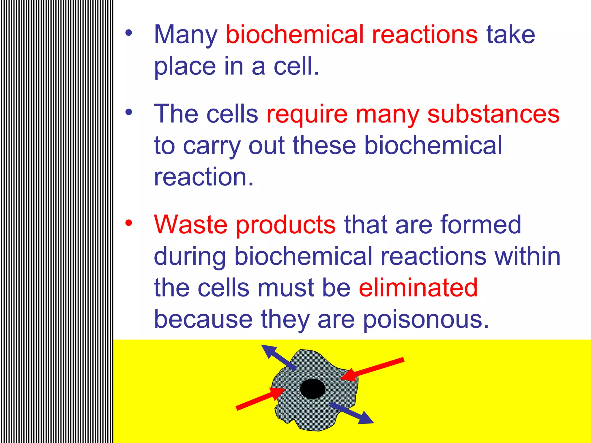 CHAPTER 3: MOVEMENT OF SUBSTANCES ACROSS THE PLASMA MEMBRANE | PPT