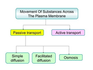 CHAPTER 3: MOVEMENT OF SUBSTANCES ACROSS THE PLASMA MEMBRANE | PPT